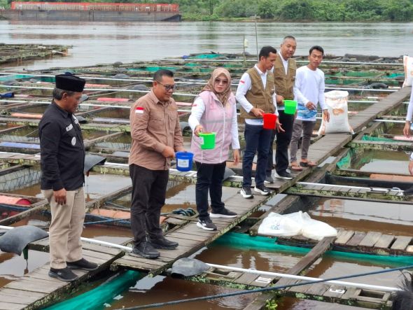 Kadar Oksigen Air Rendah, PLN Kalimantan Beri Bantuan Aerator Listrik ...